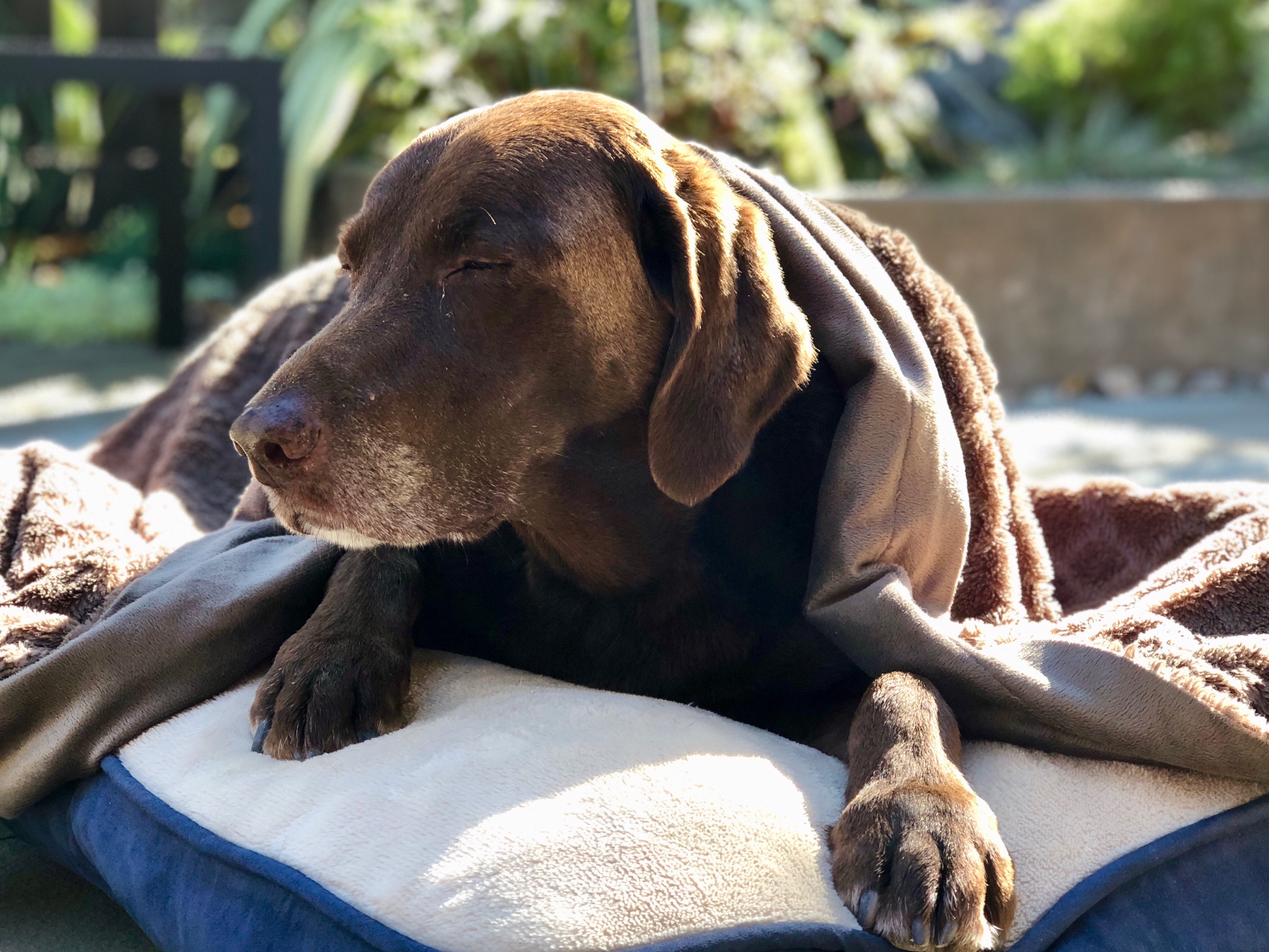 The Zen Master – Stop The Press! It's Another Milo Memo!